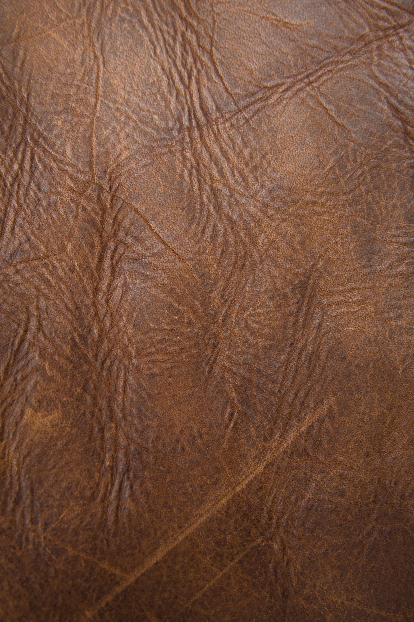 Melissa Dark Brown Satchel | The Frye Company