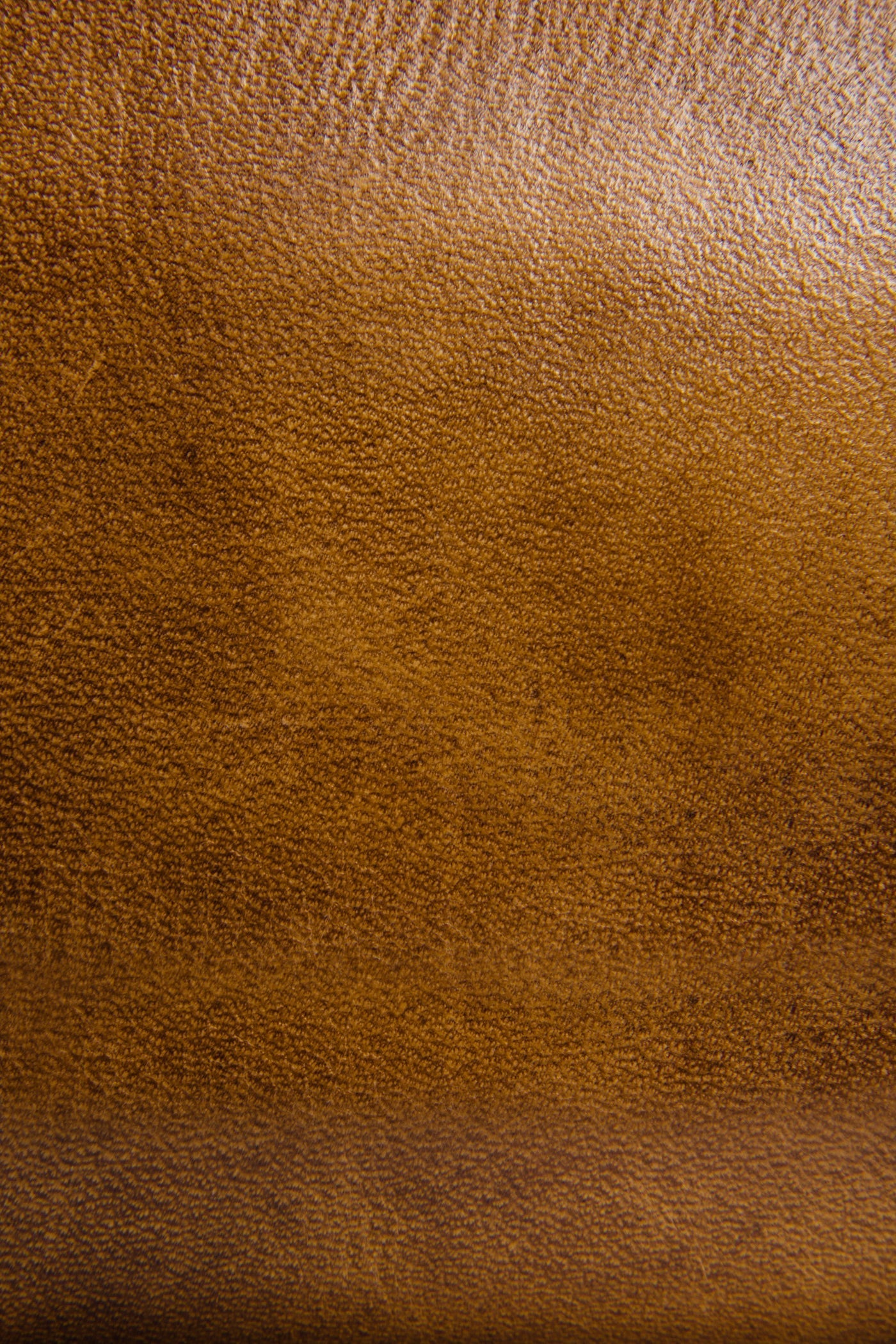Melissa Beige Zip Wallet | The Frye Company